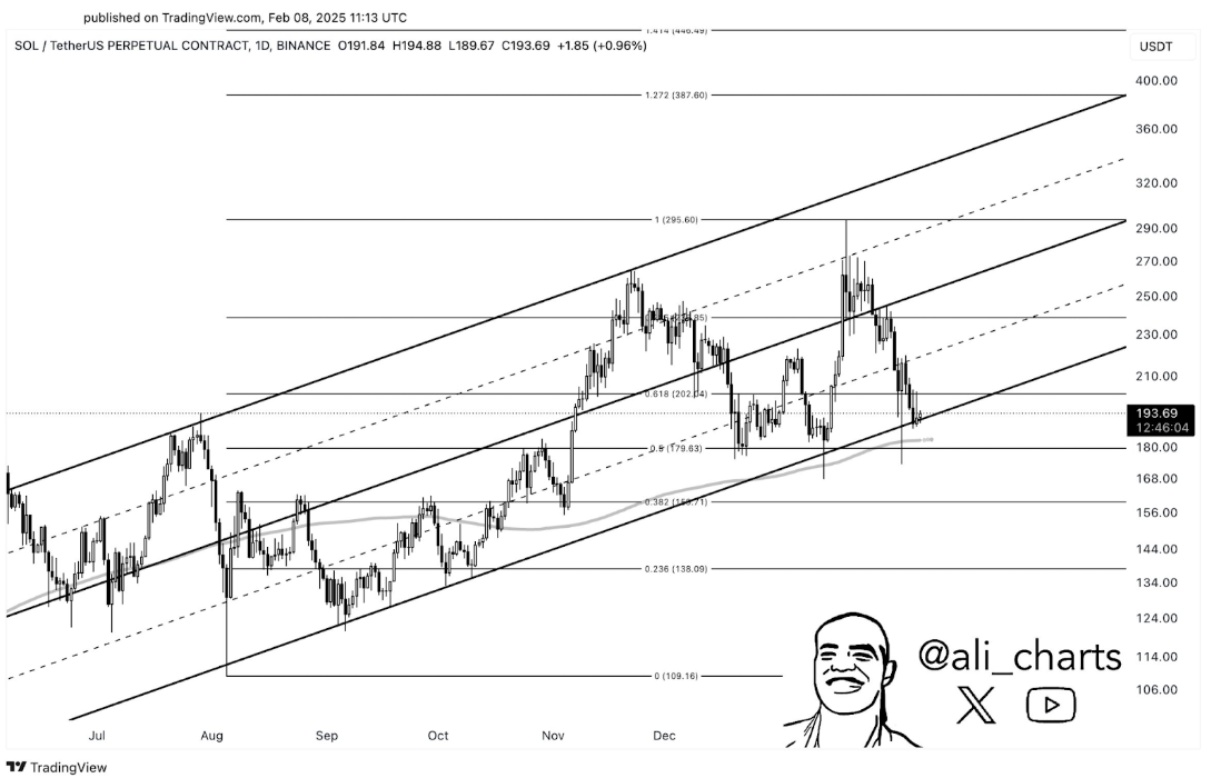 솔라나(SOL), 주요 지지선 테스트 "향후 움직임이 판세 바꾼다. 목표가는 56만원" | 블록미디어